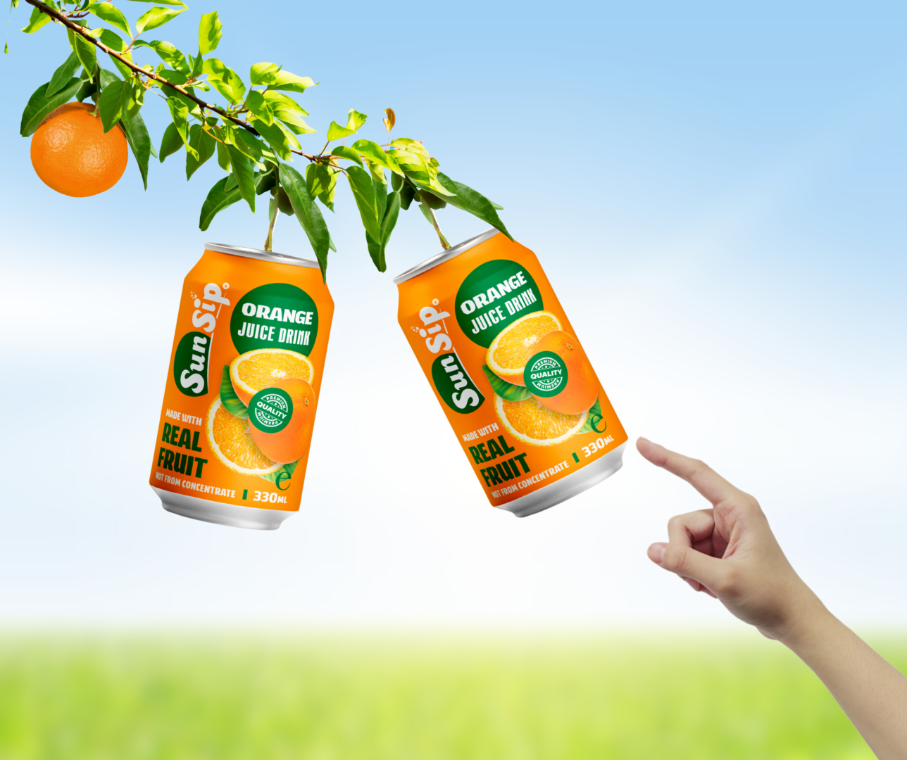 Discover the Vibrant World of Sunsip Fruit Juices - SunSip Beverages ...